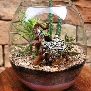 12 Creative Terrarium Ideas That Will Enhance Your Interior Areas ...