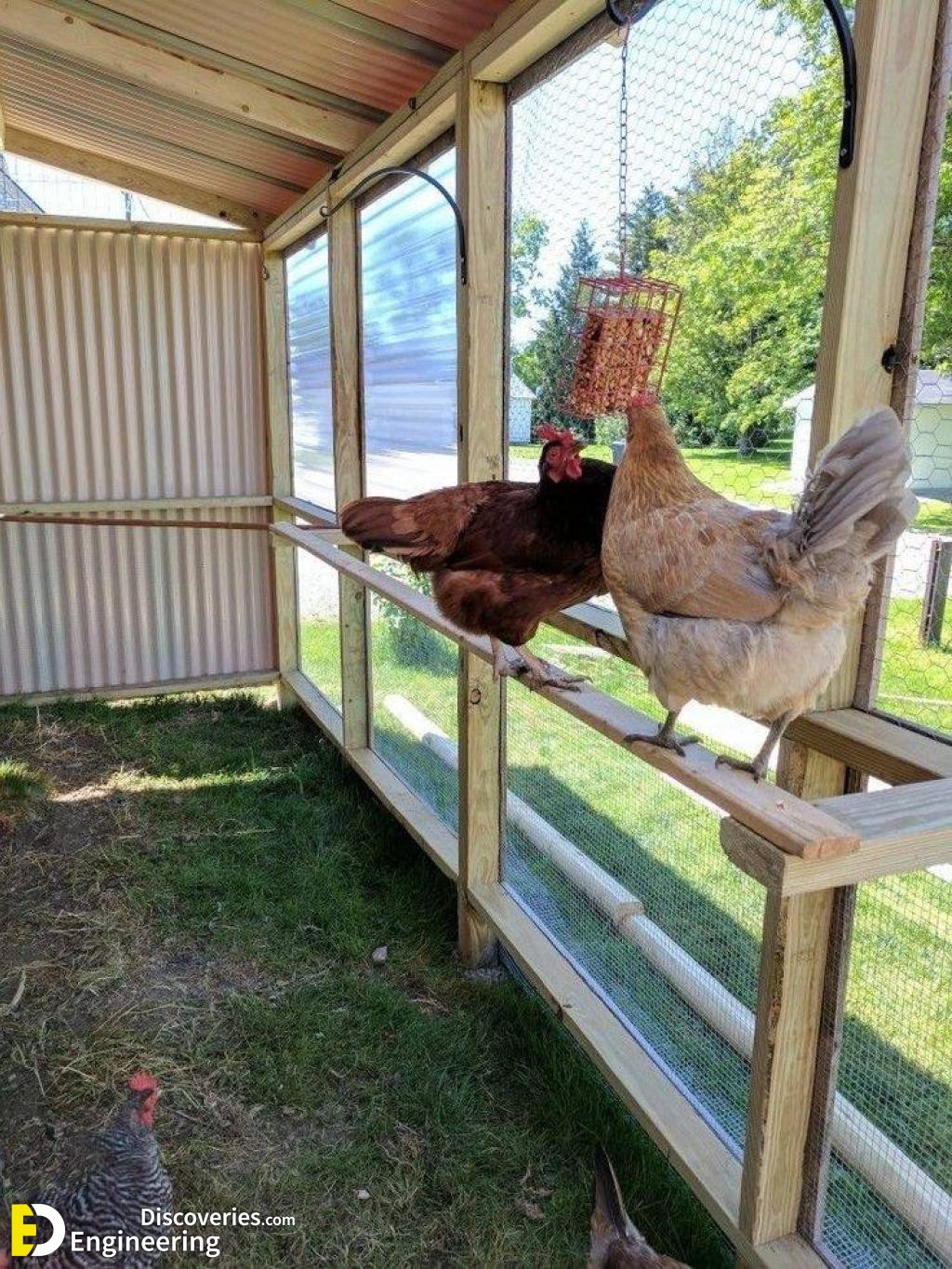 30 Ideas for Having Chickens in Your Backyard – Crafty Daily