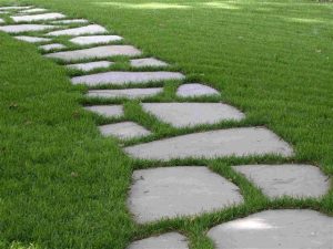 30 Ideas to Lay a Paver Walkway With Grass in Between – Crafty Daily