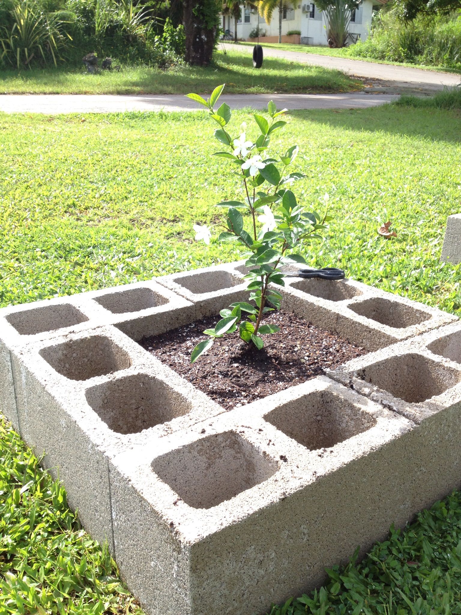 30 Brilliant “DIY Cinder Block” Ideas for Your Garden – Crafty Daily