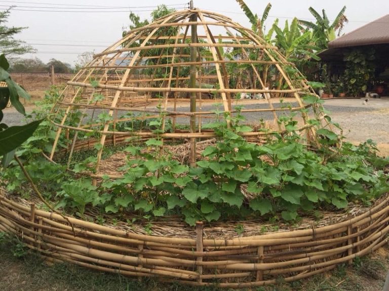 41 Easy DIY Garden Trellis Ideas & Plant Structures – Crafty Daily