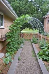 41 Easy DIY Garden Trellis Ideas & Plant Structures – Crafty Daily