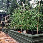 41 Easy DIY Garden Trellis Ideas & Plant Structures – Crafty Daily
