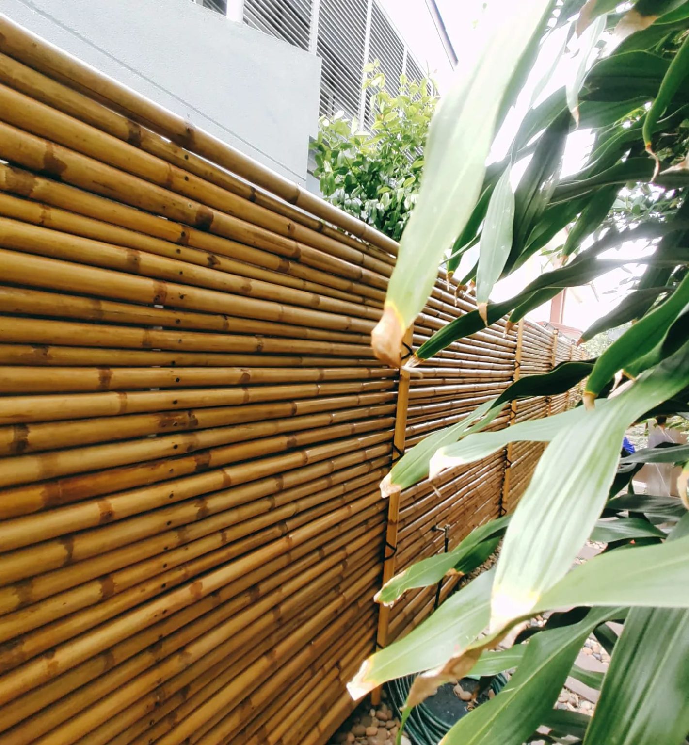 39 Attractive “Bamboo Fence” Ideas to Protect and Decorate Your Garden ...