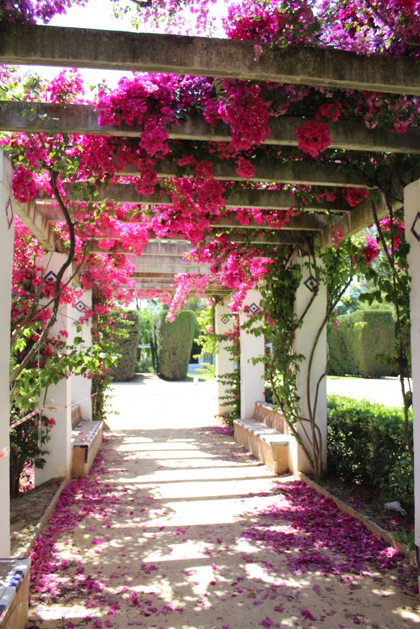 33 Awesome “Pergola” Ideas to Shade and Beautify Your Backyard – Crafty ...