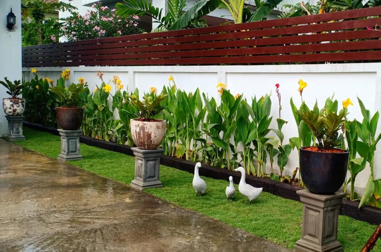 45 Ideas to Inspire Your New “Boundary Wall.” – Crafty Daily